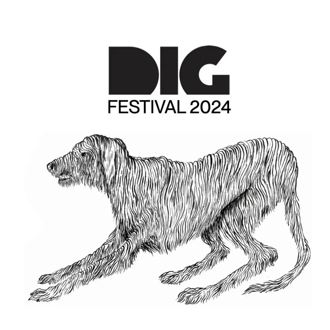 DIG Festival 2024 - A Sud